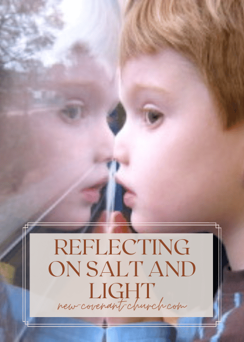 Reflecting on Salt and Light in Lent