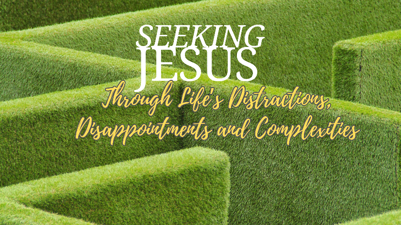 Seeking Jesus Through Life's Distractions, Disappointments, and ...